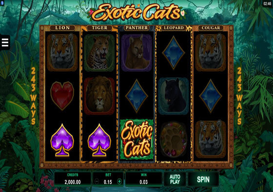 Exotic Cats- New Microgaming Slot with a Feline Theme
